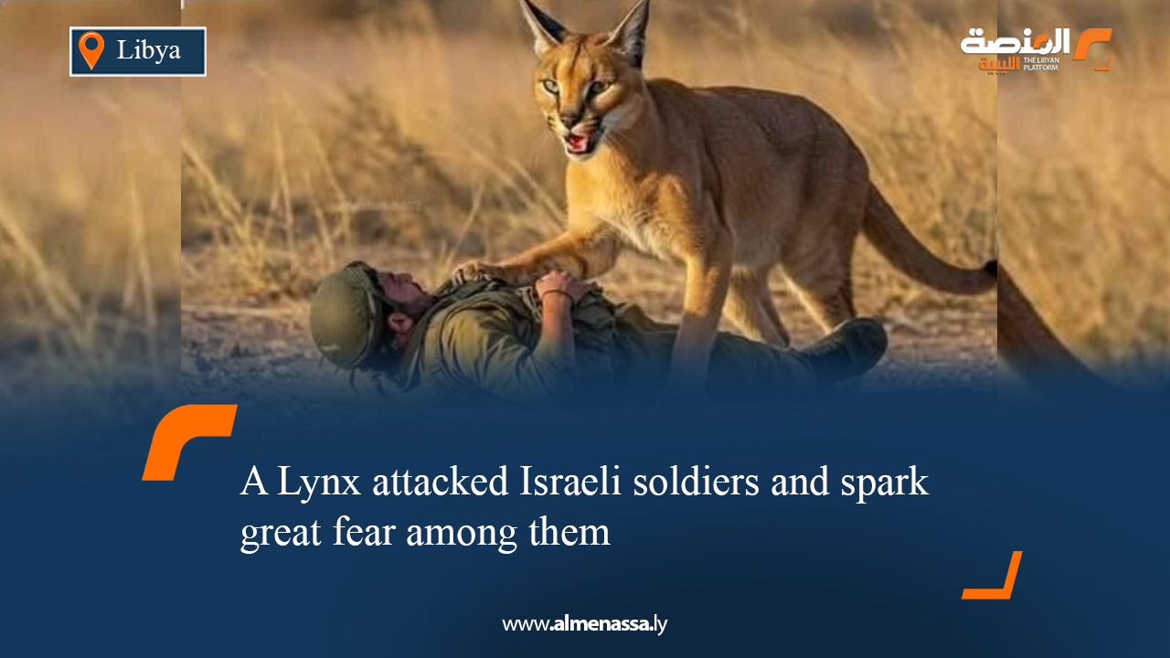 A Lynx attacked Israeli soldiers and spark great fear among them – The ...
