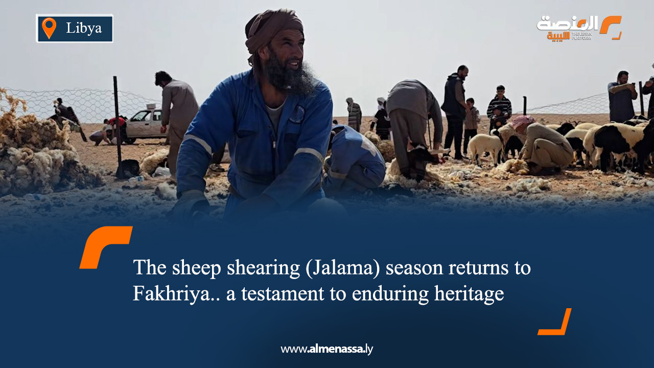 The sheep shearing (Jalama) season returns to Fakhriya.. a testament to ...